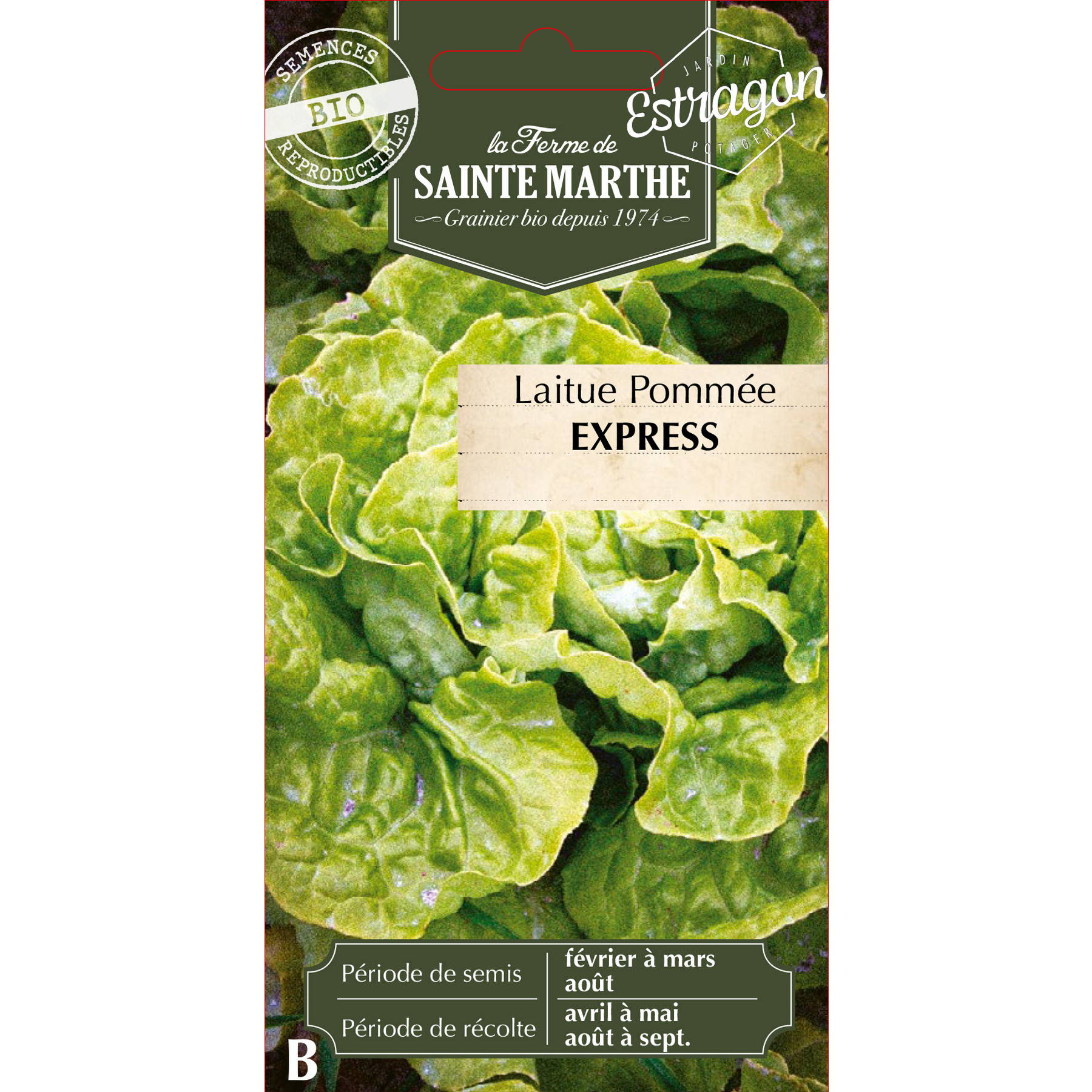 Graines - Laitue Pommée express bio - 500 graines - Ferme de Sainte ...