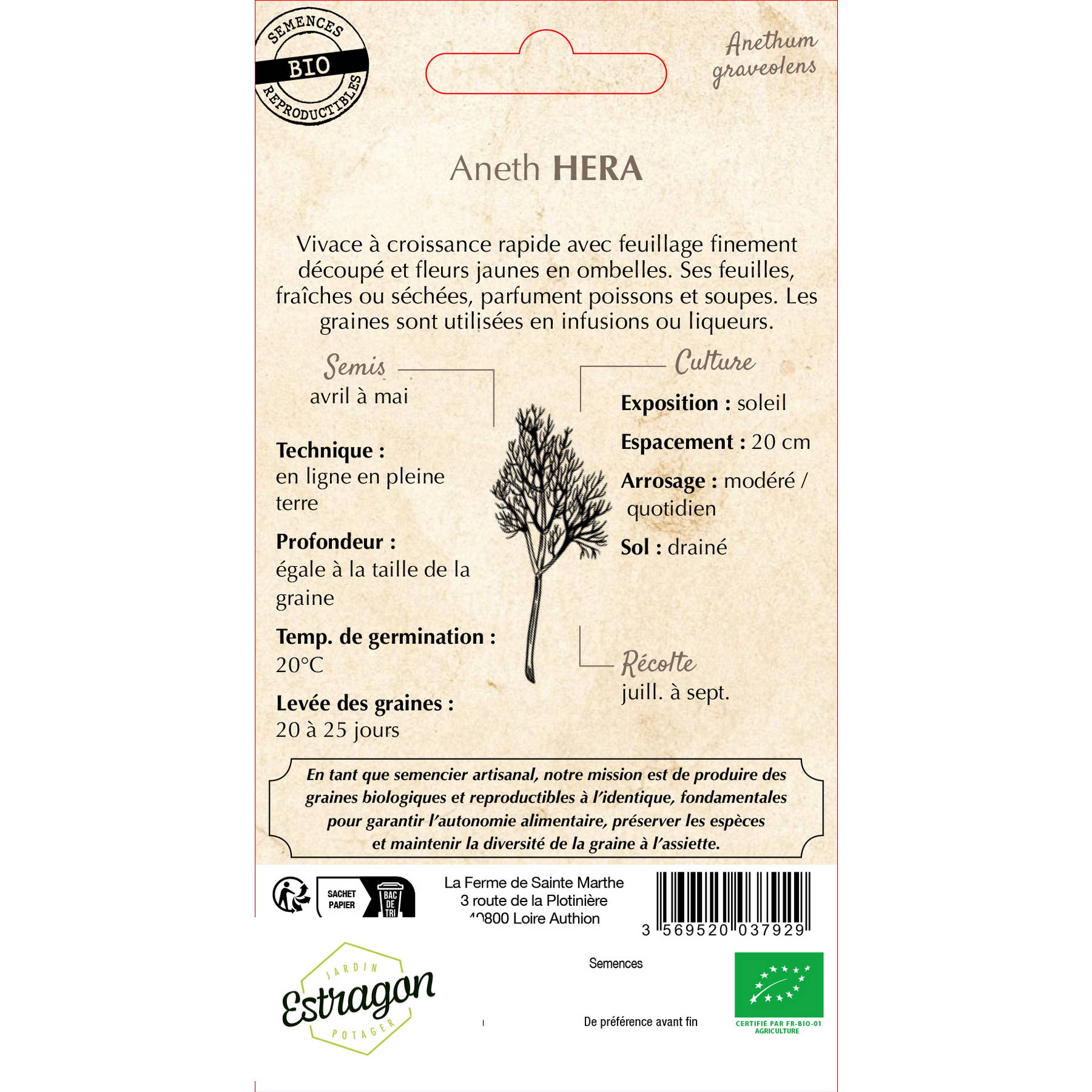 Graines - Aneth Hera bio - 200 graines - Ferme de Sainte Marthe ...